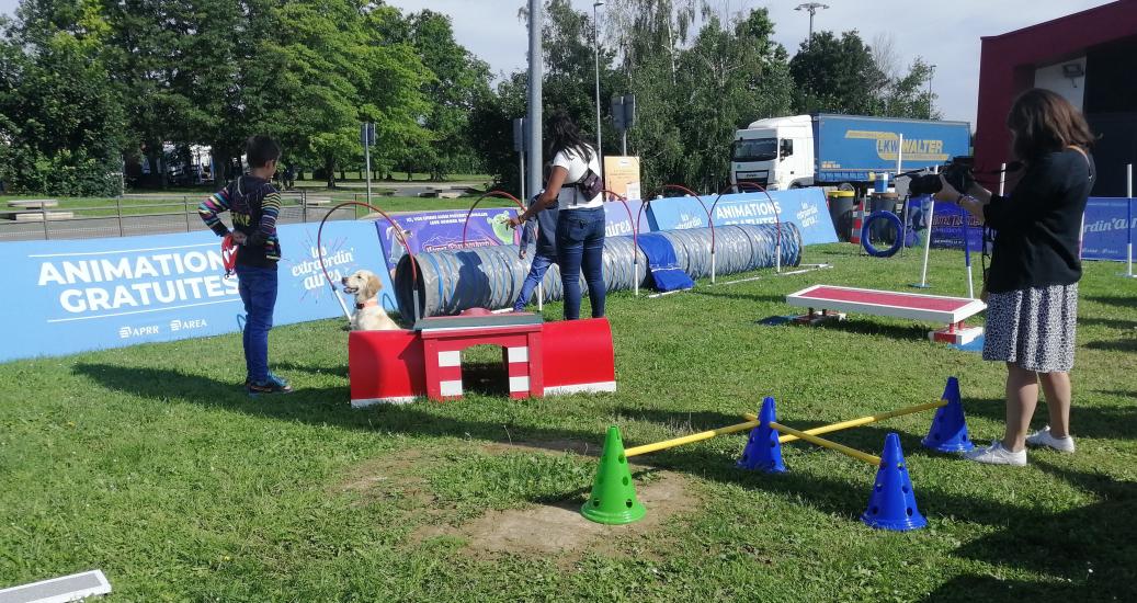 Une pause agility sur l'autoroute | APRR AREA